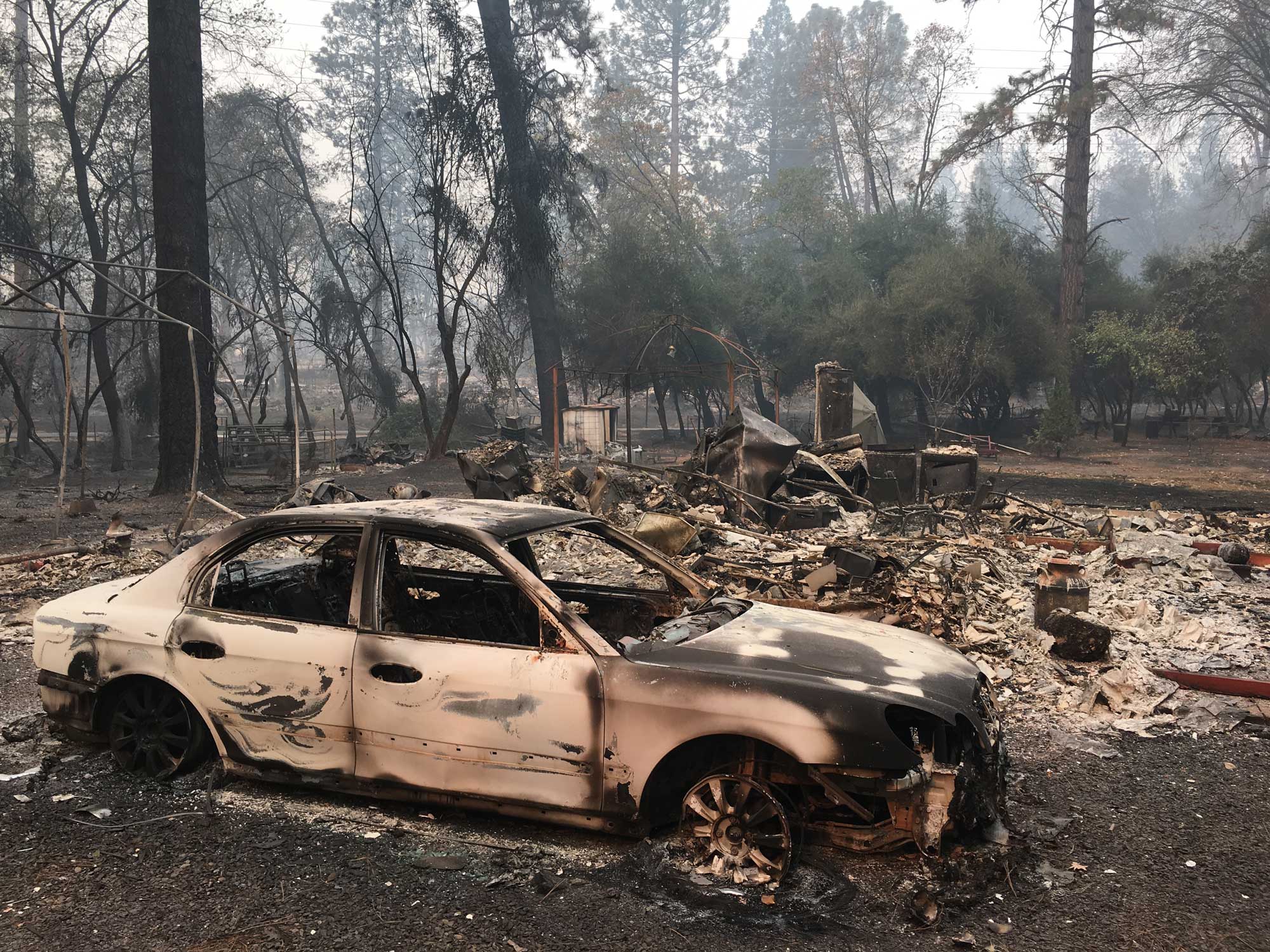 Resilience in the Face of Disaster - City on a Hill Press